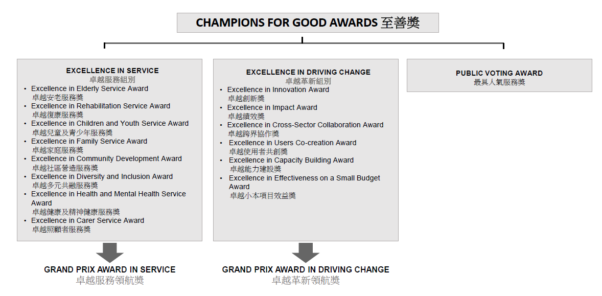 Awards and Award Ceremony | Champions for Good Awards